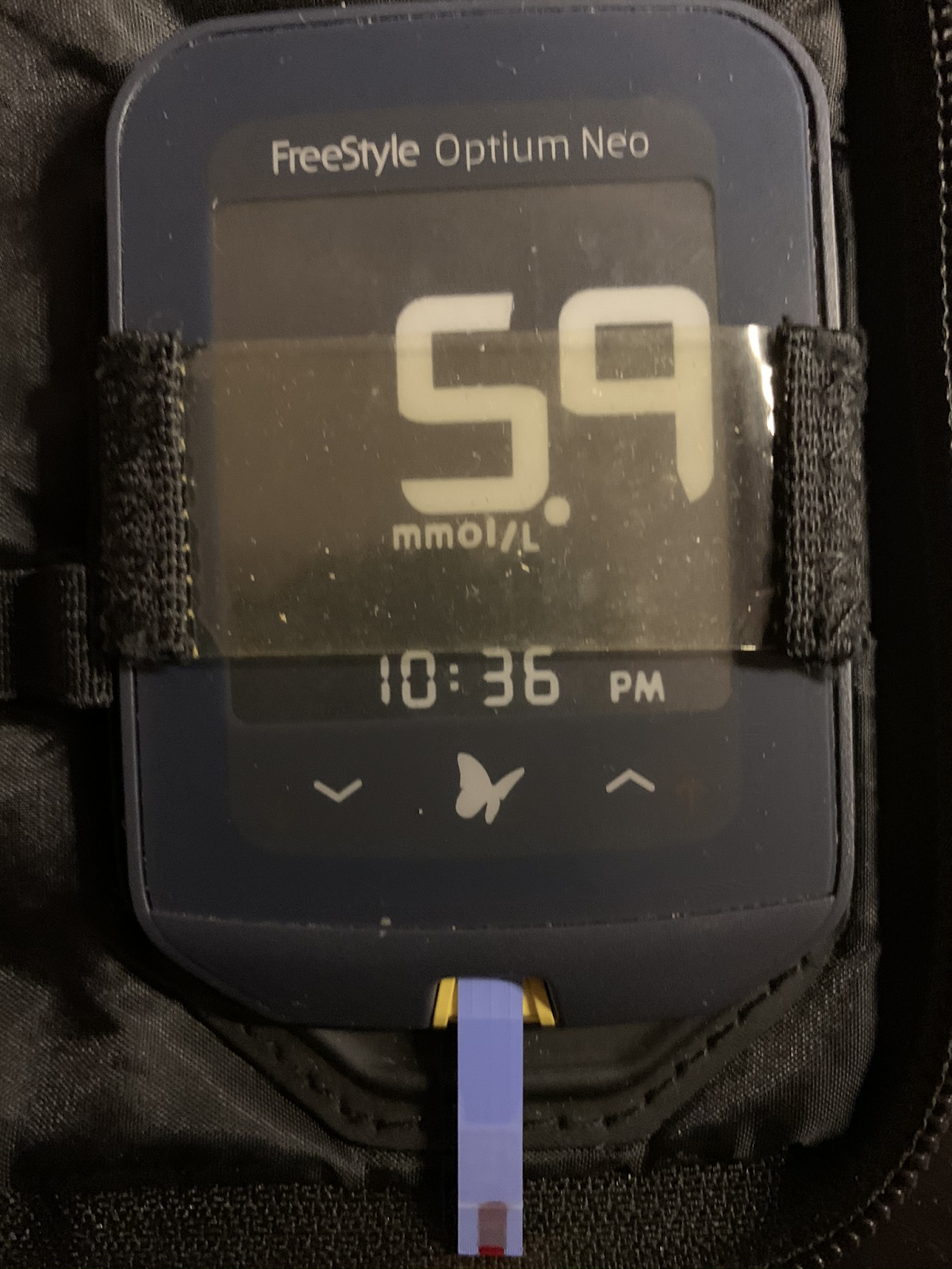 Dexcom G6 vs Freestyle Libre [My Personal Experience]